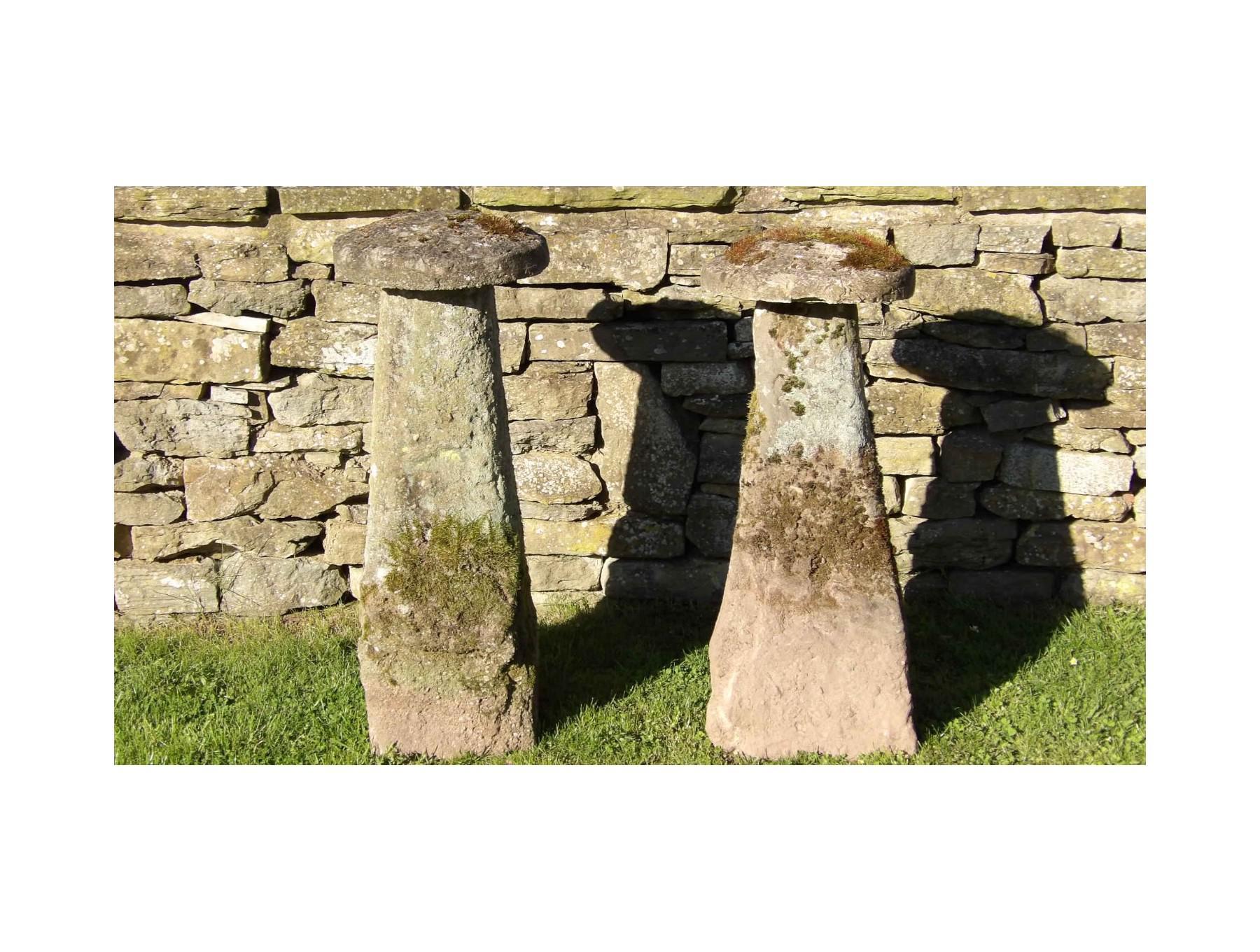 Two Old Staddle Stones