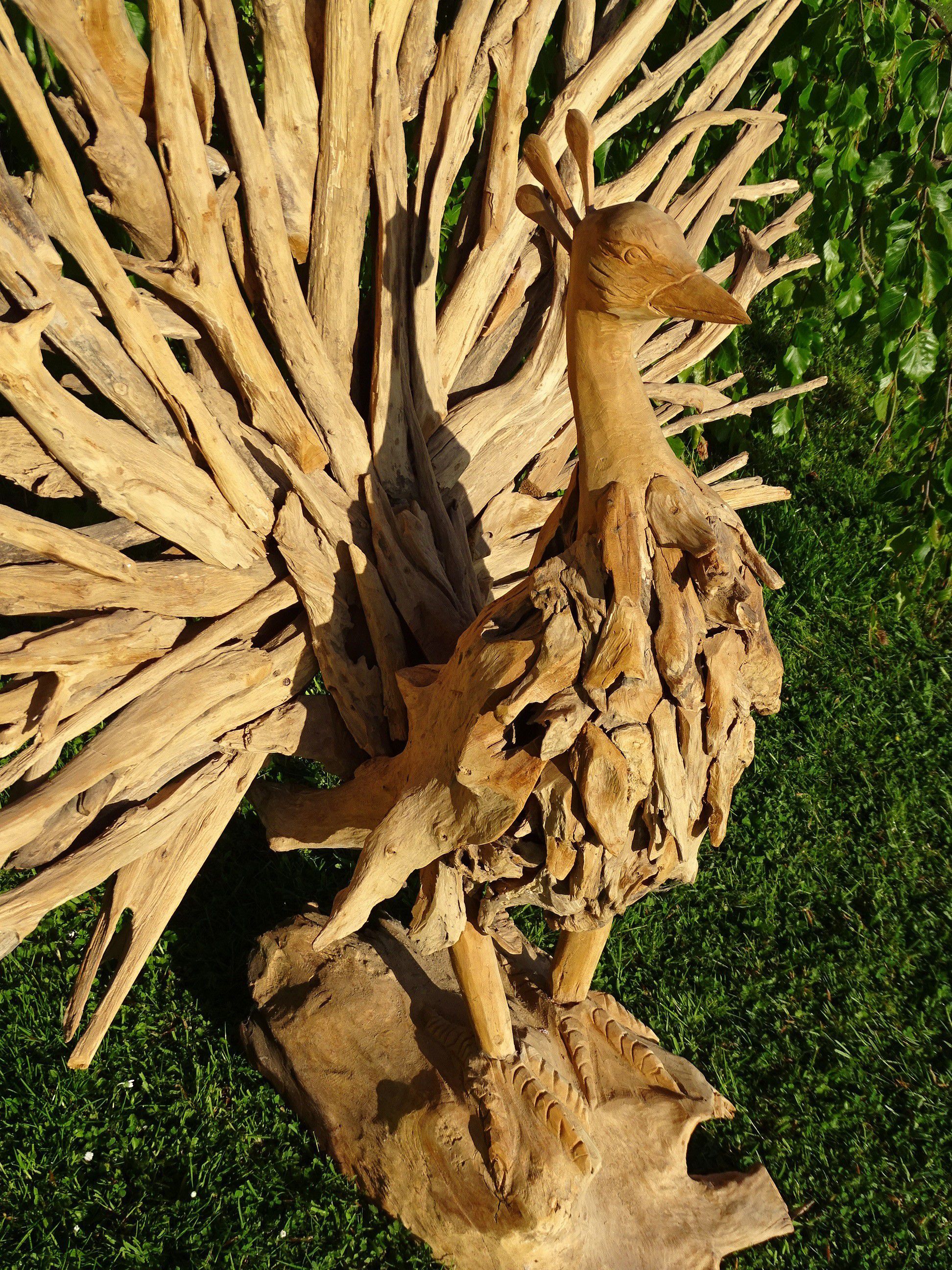 Peacock Teak Root Sculpture | Modern Sculpture | Holloways Garden Antiques