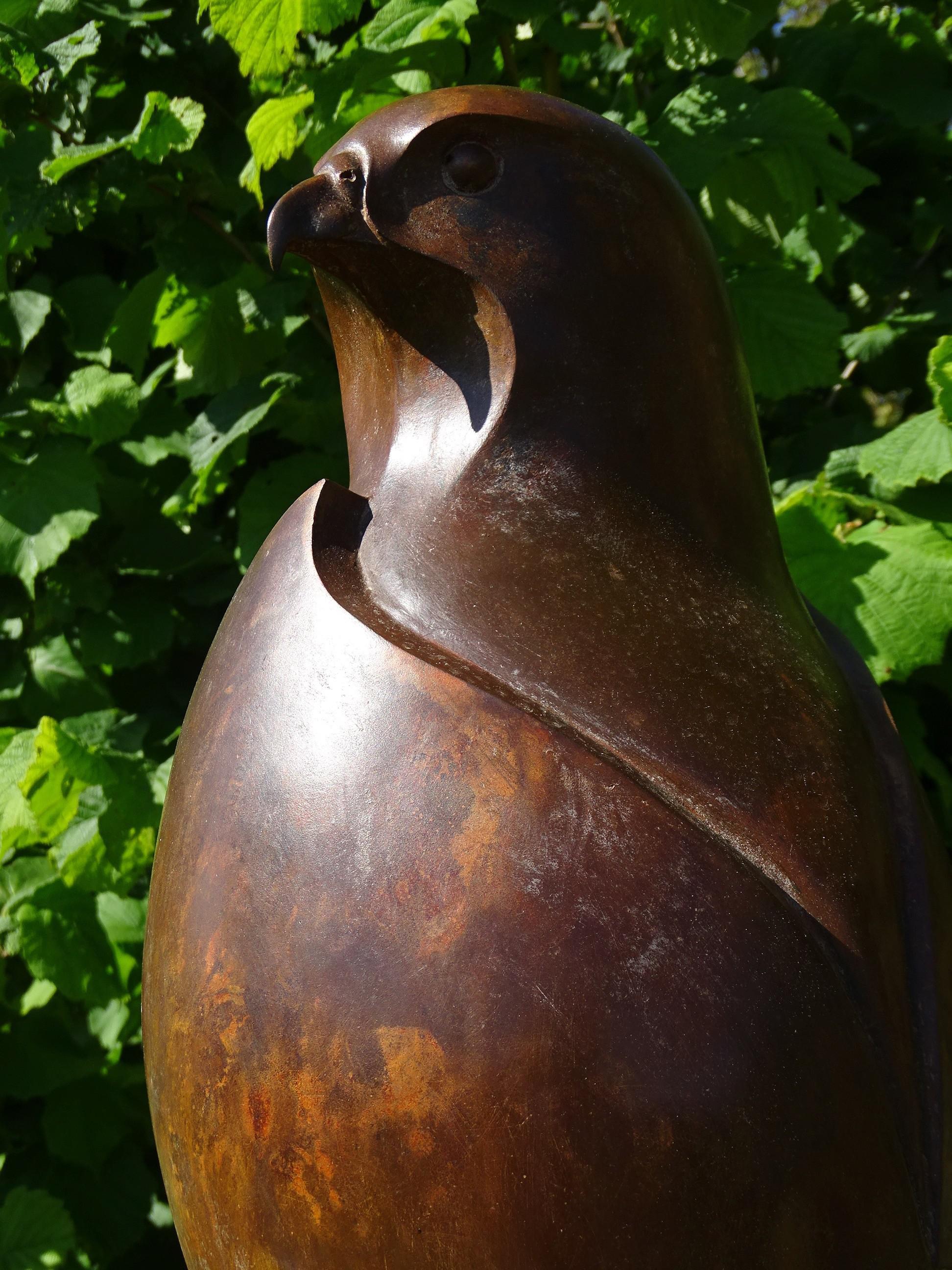 Paul Harvey 'Red Kite' | Modern Garden Sculpture | Holloways Garden ...