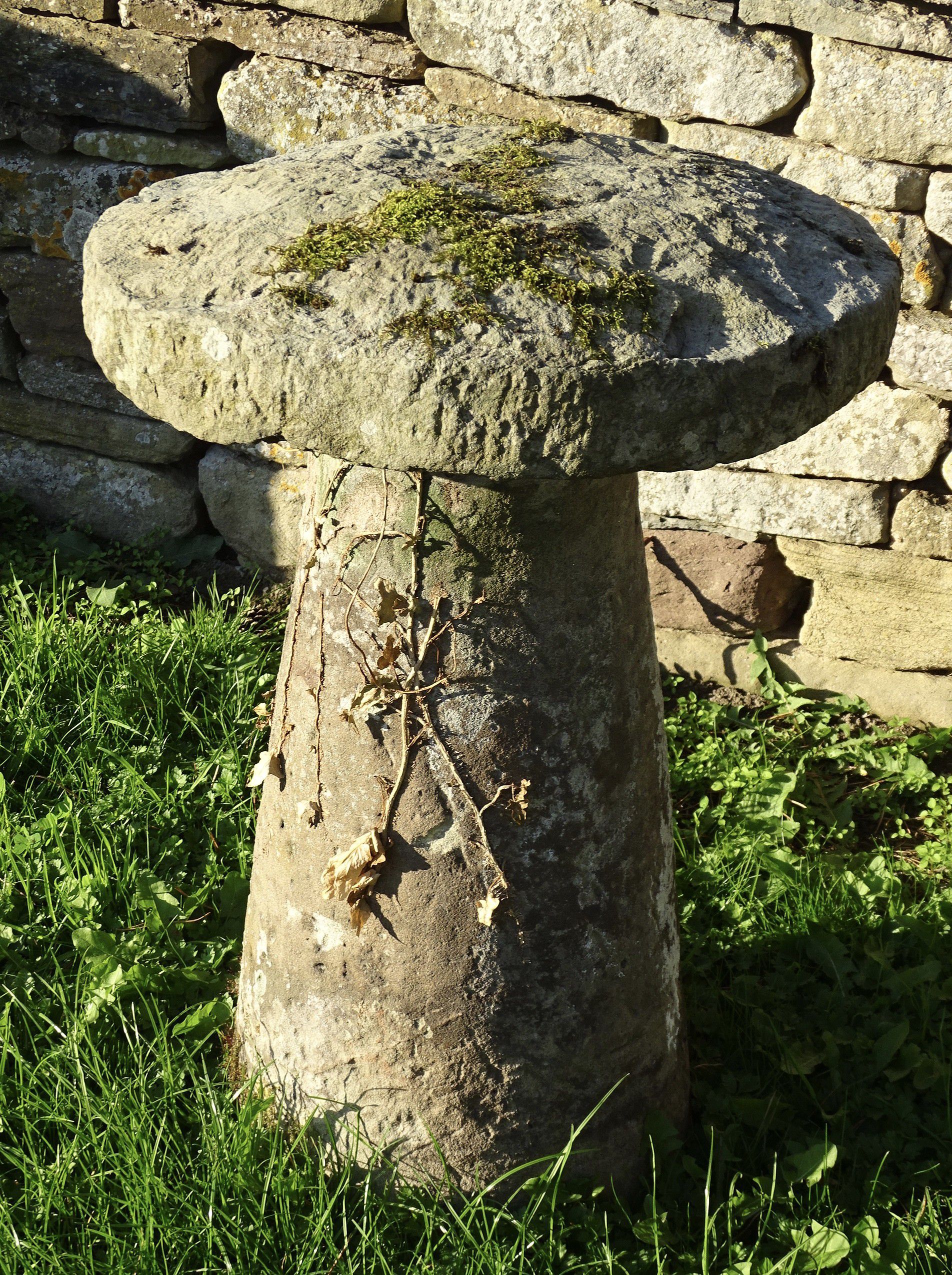 Antique Staddle Stone. Staddle Stones. Holloways Garden Antiques
