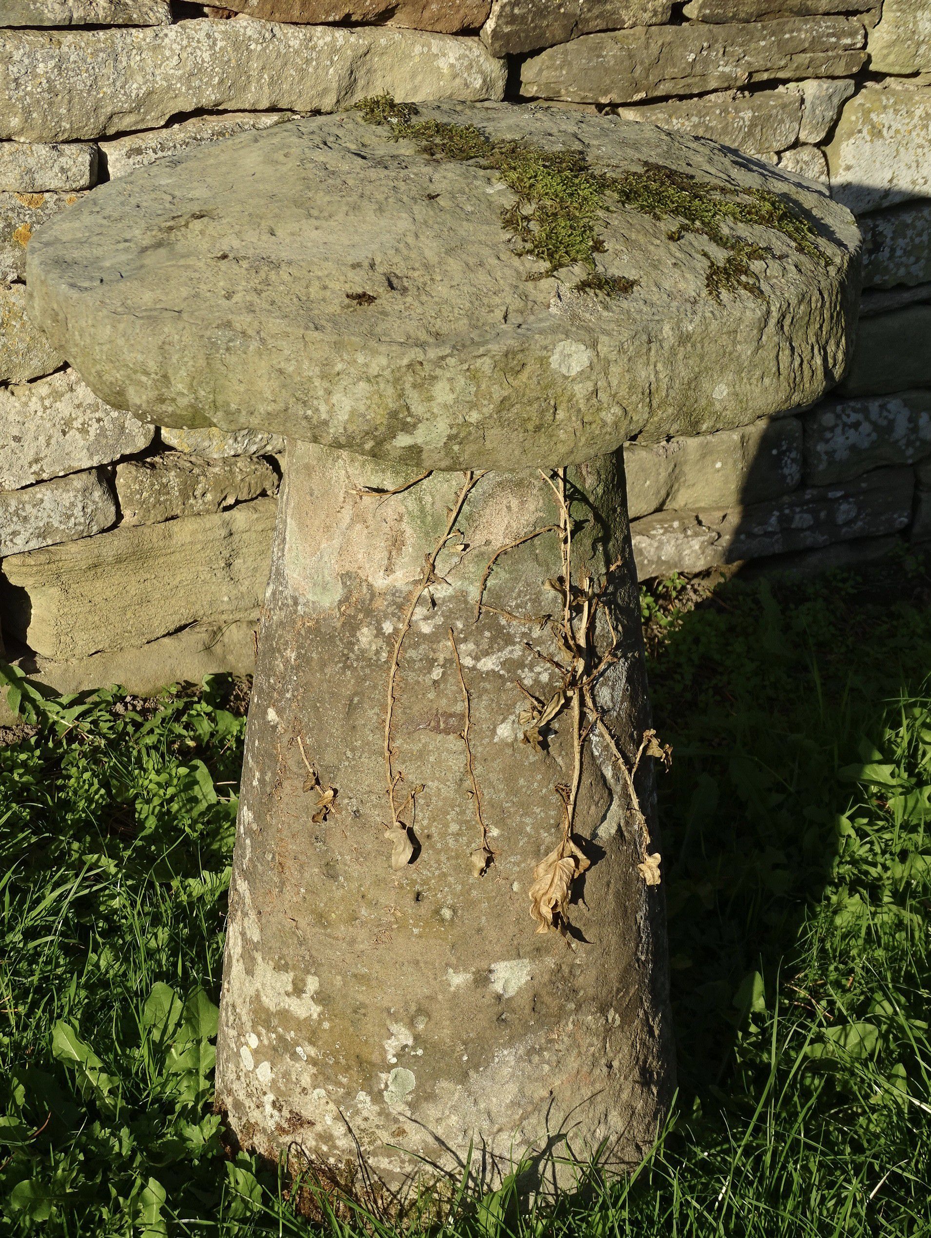 Antique Staddle Stone. Staddle Stones. Holloways Garden Antiques