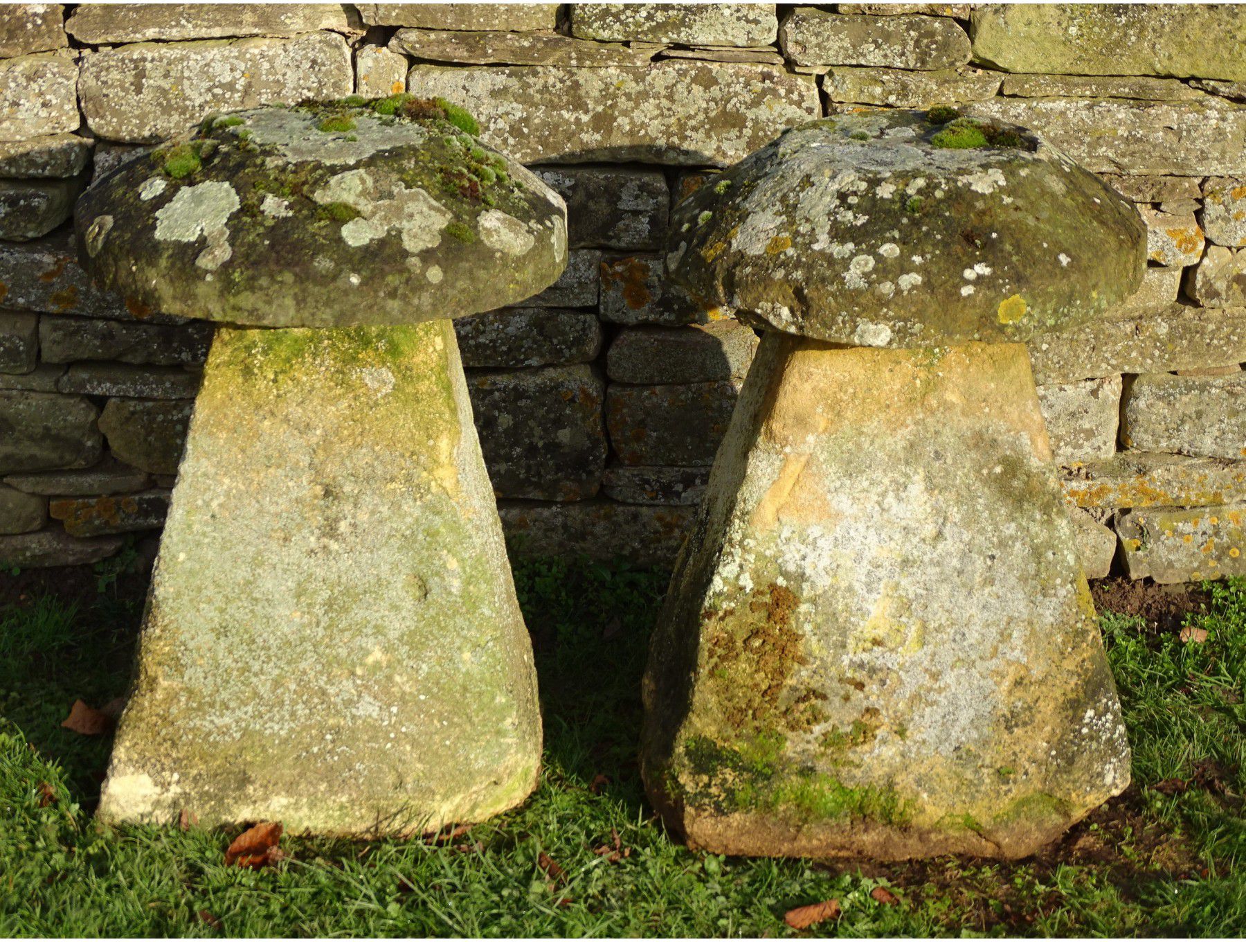 Antique Staddle Stones|Pair Staddle Stones|Holloways Garden Antiques|
