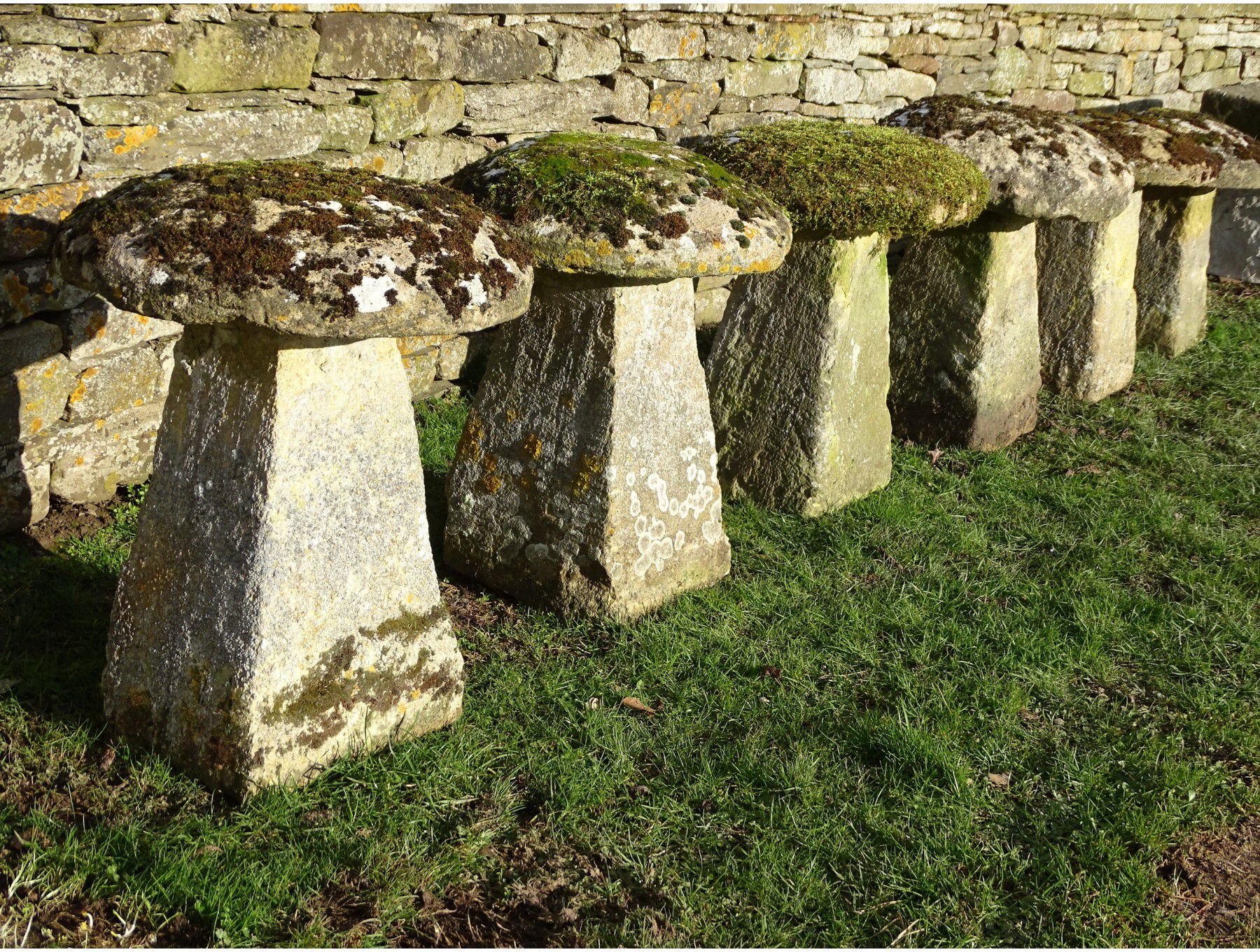 Antique Limestone Staddlestones (Set Of Six)|Holloways Garden Antiques|