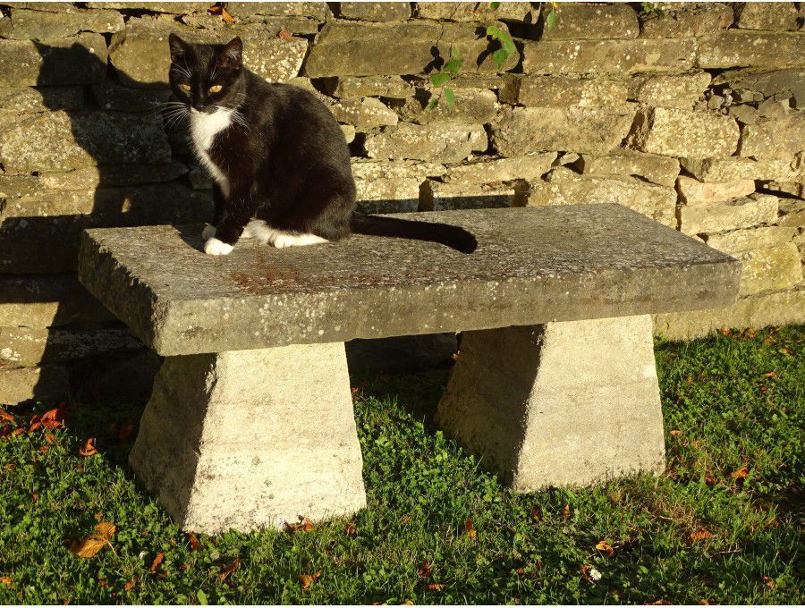 Carved Stone Garden Seat|