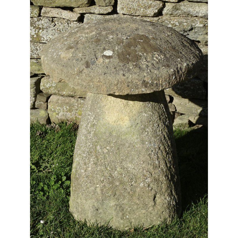 Antique Limestone Staddlestone|