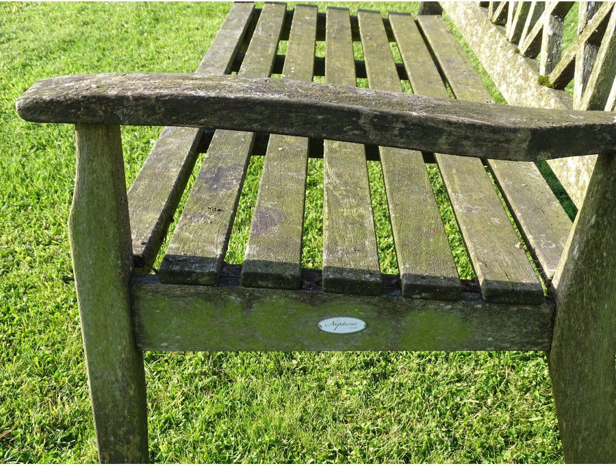 Weathered Neptune Bench|