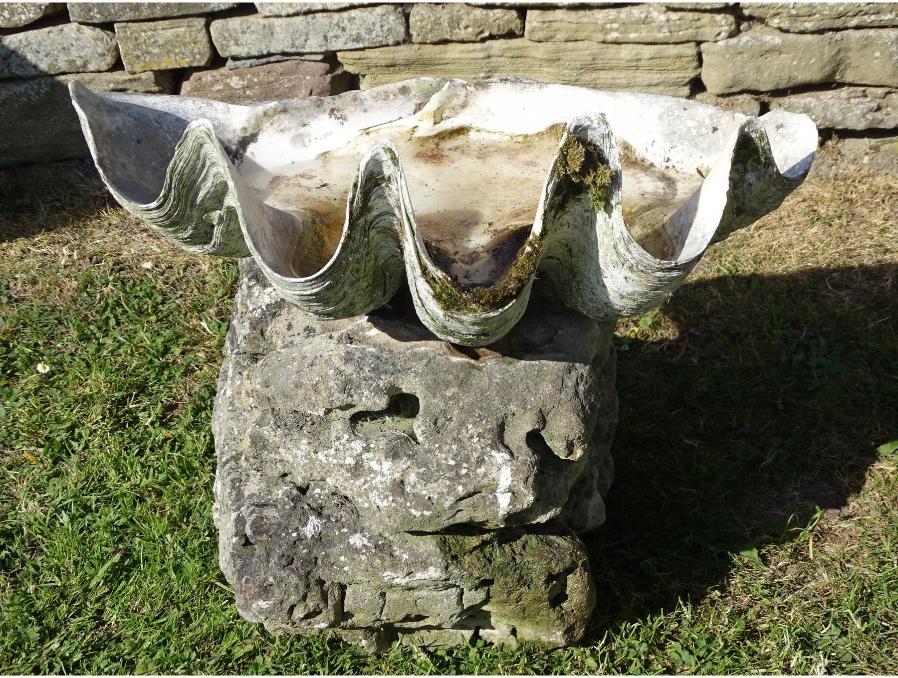 Clam Shell Birdbath|