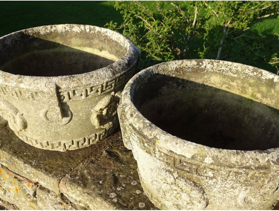 Weathered Tudor Rose Planters (Pair)|