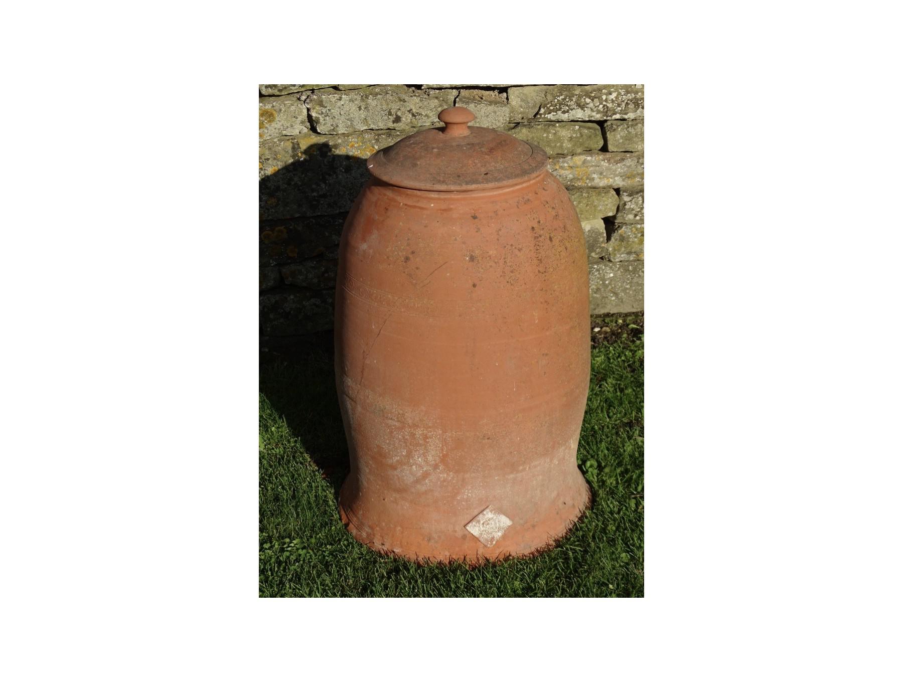 Weathered Rhubarb Forcer|