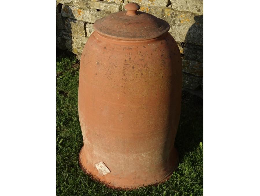 Weathered Rhubarb Forcer|