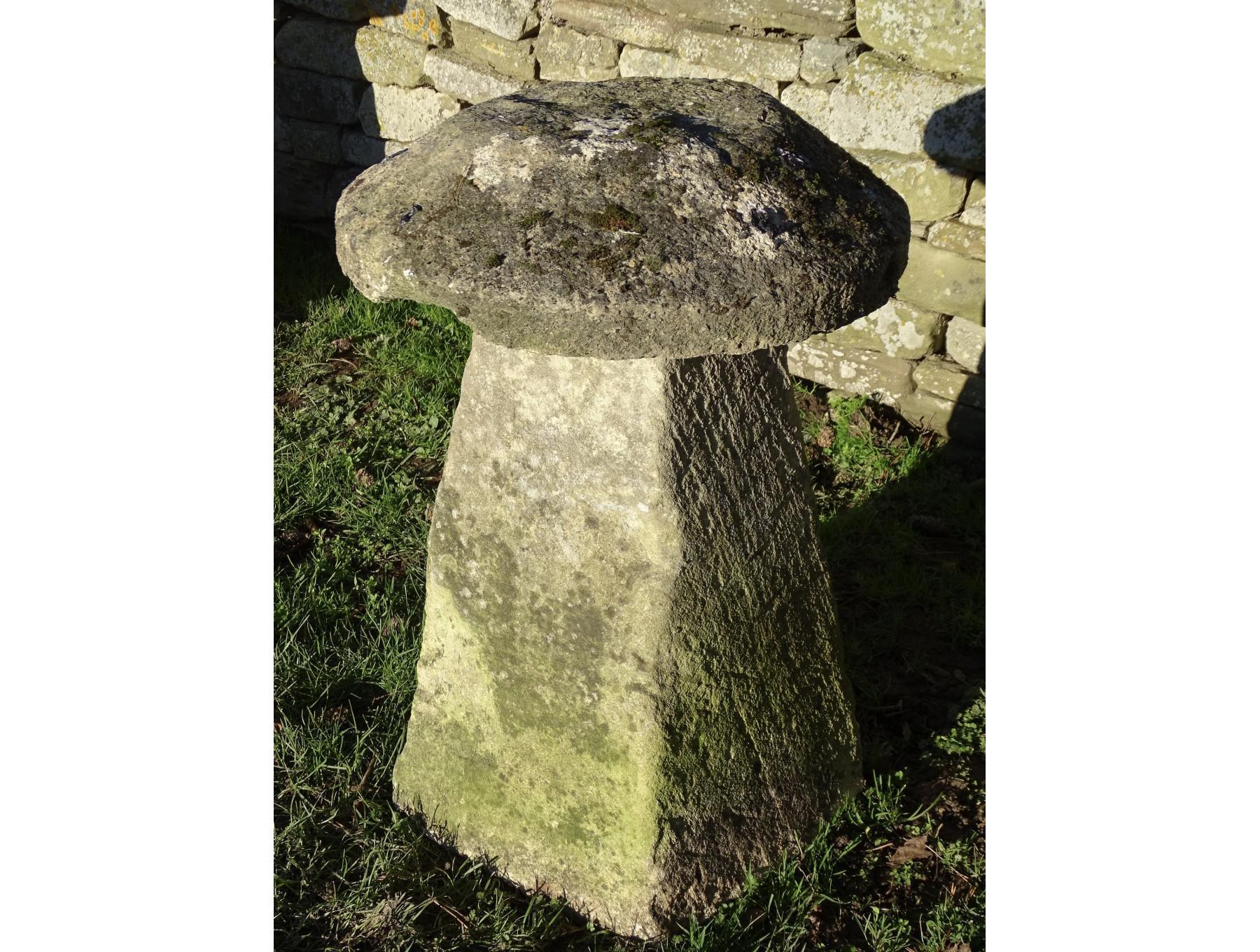 Antique Limestone Staddlestone|