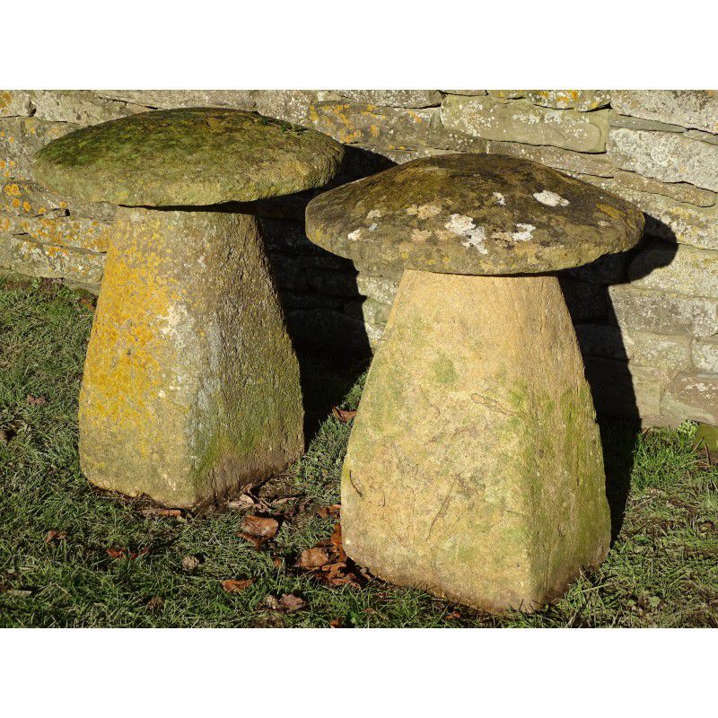 Ham Stone Staddlestones (Pair)|