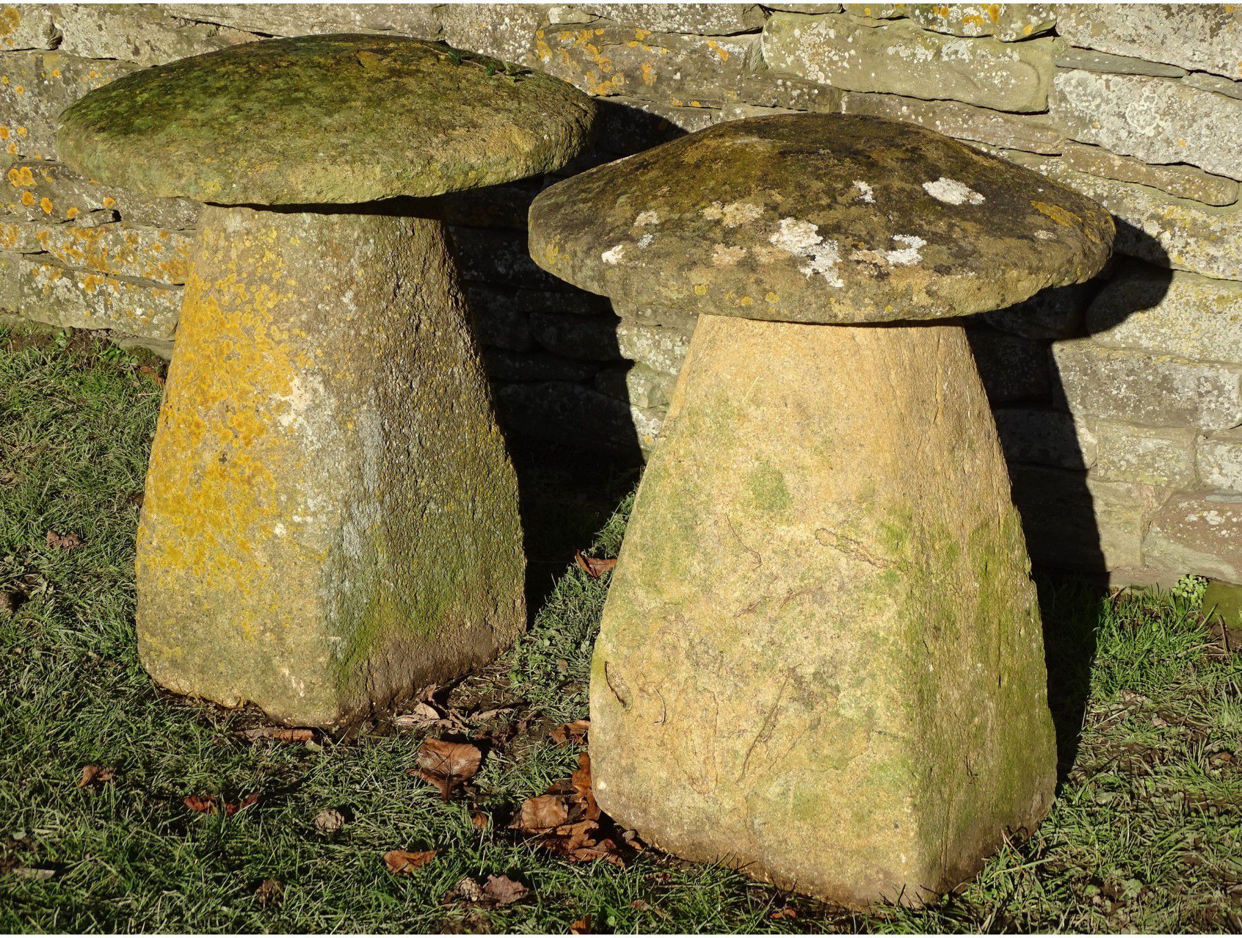 Ham Stone Staddlestones (Pair)|