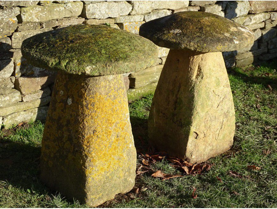 Ham Stone Staddlestones (Pair)|