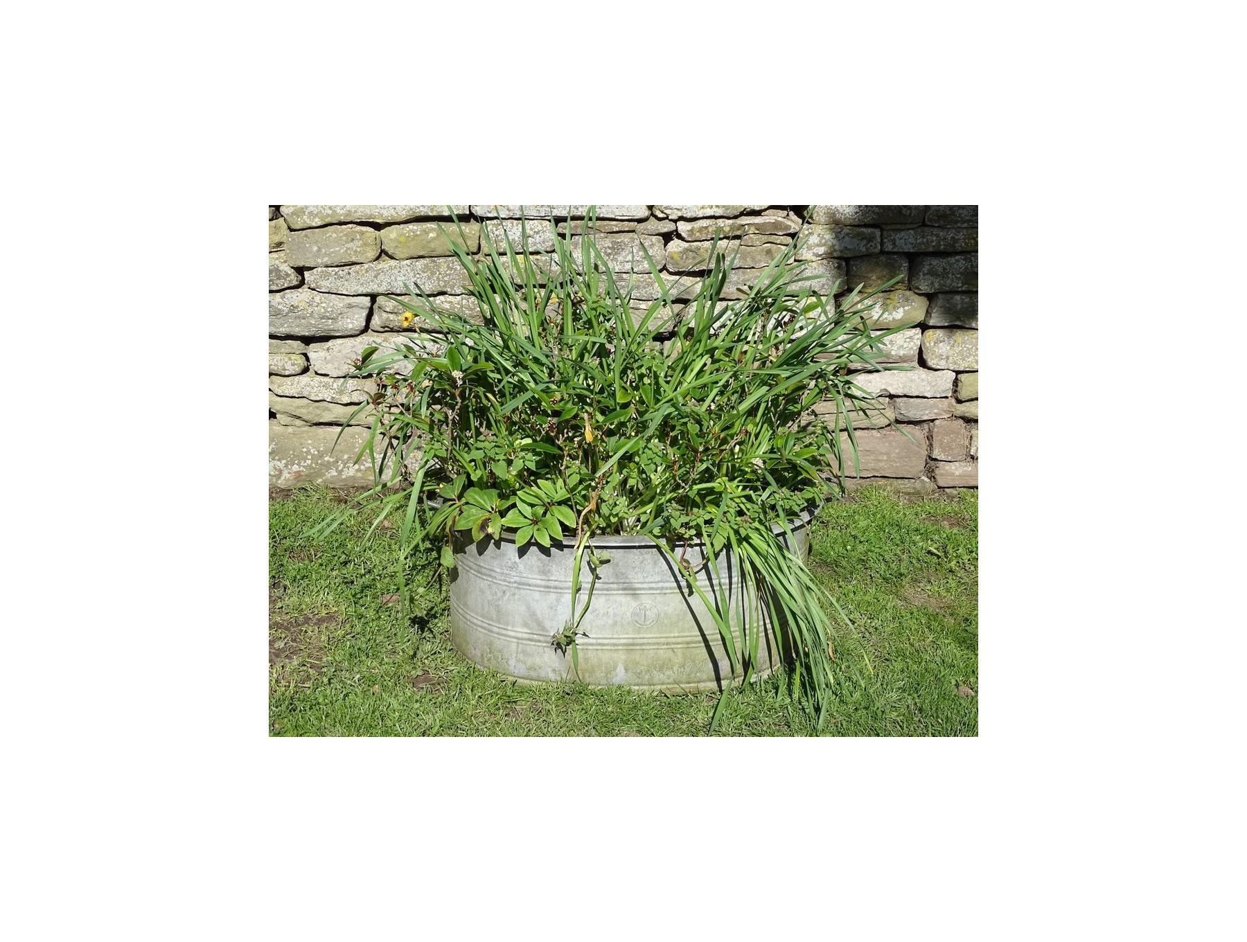 Vintage Galvanised Oval Planter|