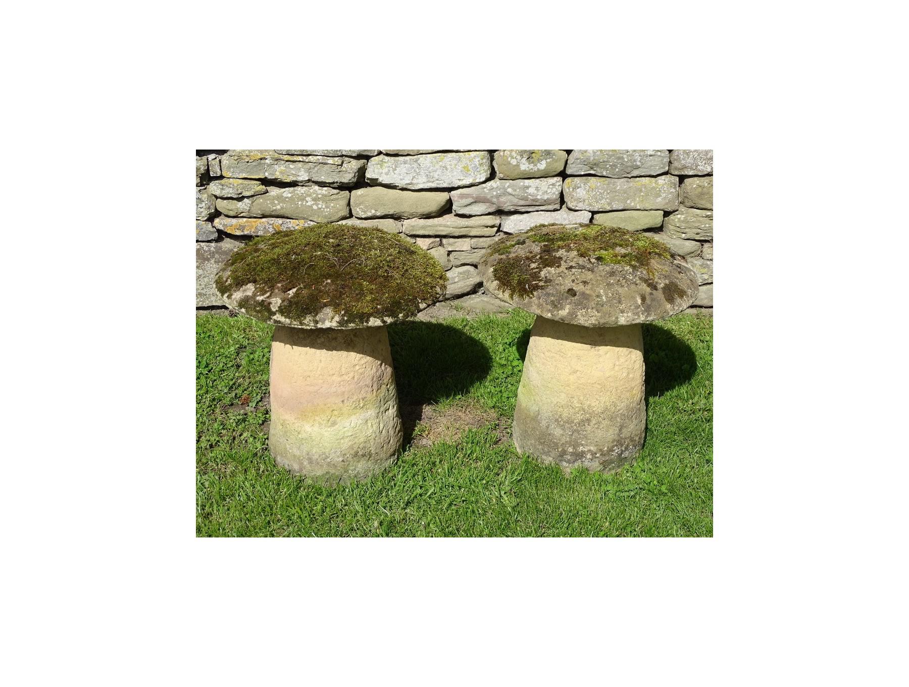 Weathered Staddlestones (Pair)|