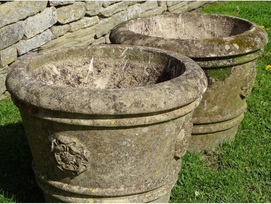 Weathered Tudor Rose Planters (Pair)|