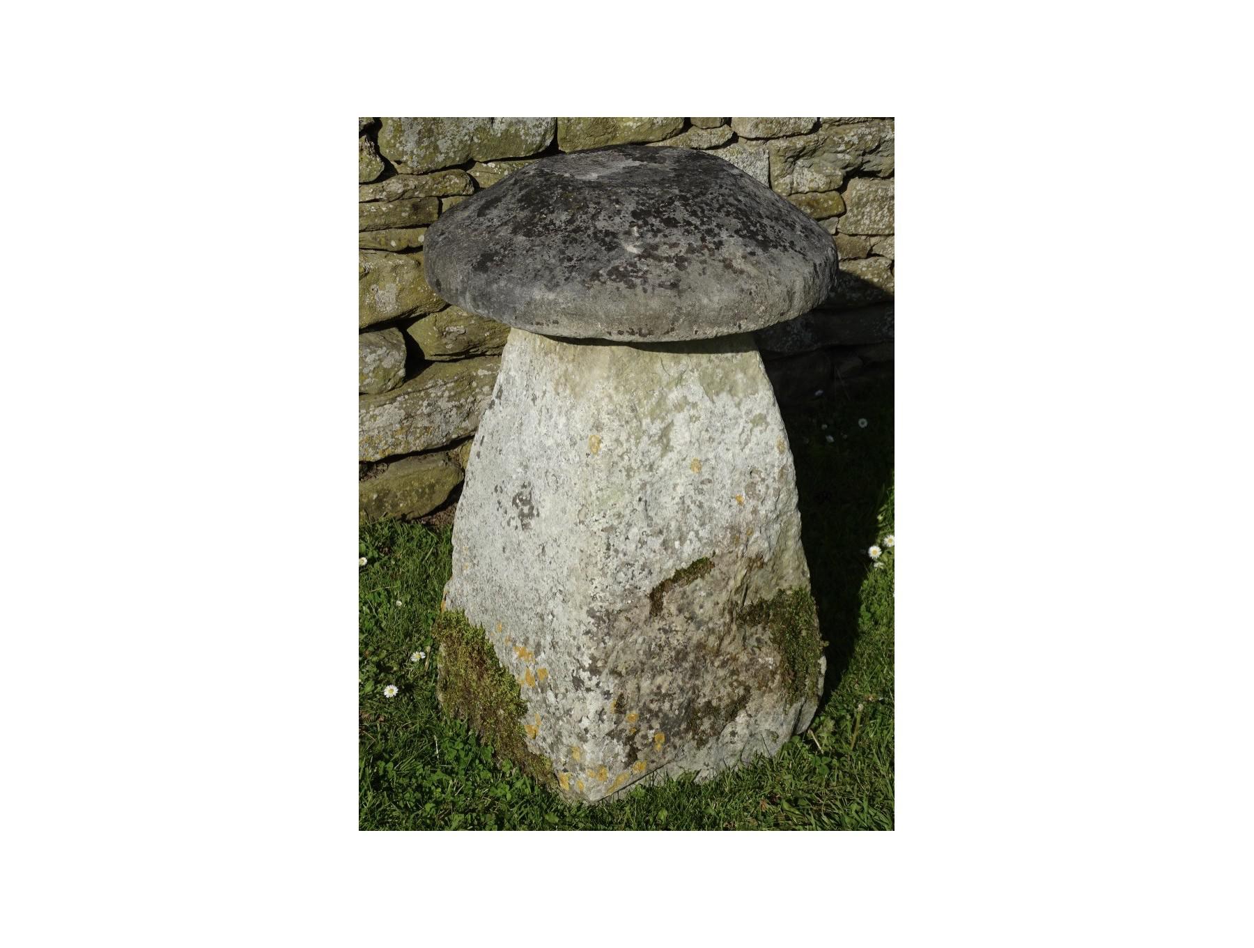 Antique Limestone Staddlestone|