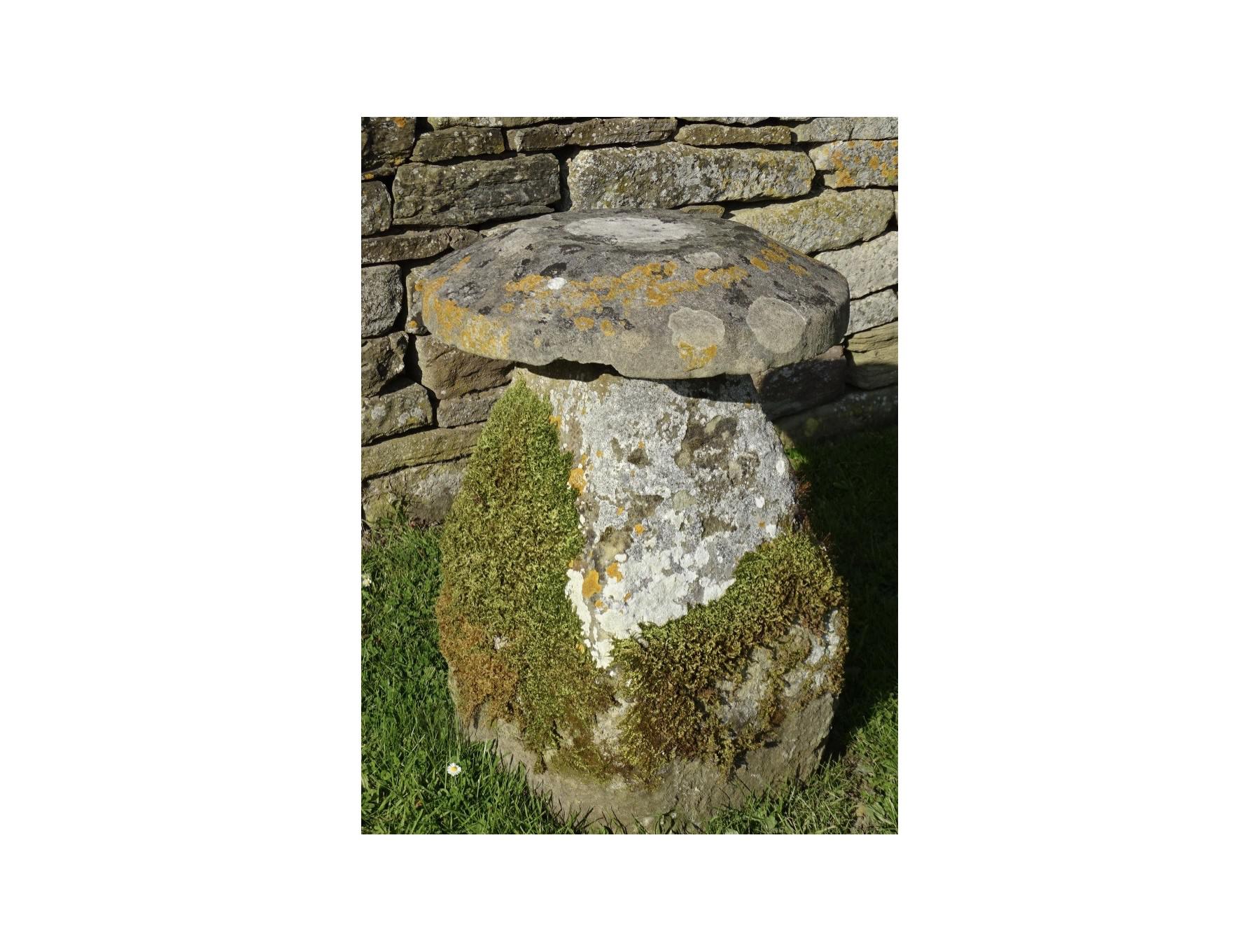 Antique Limestone Staddlestone|