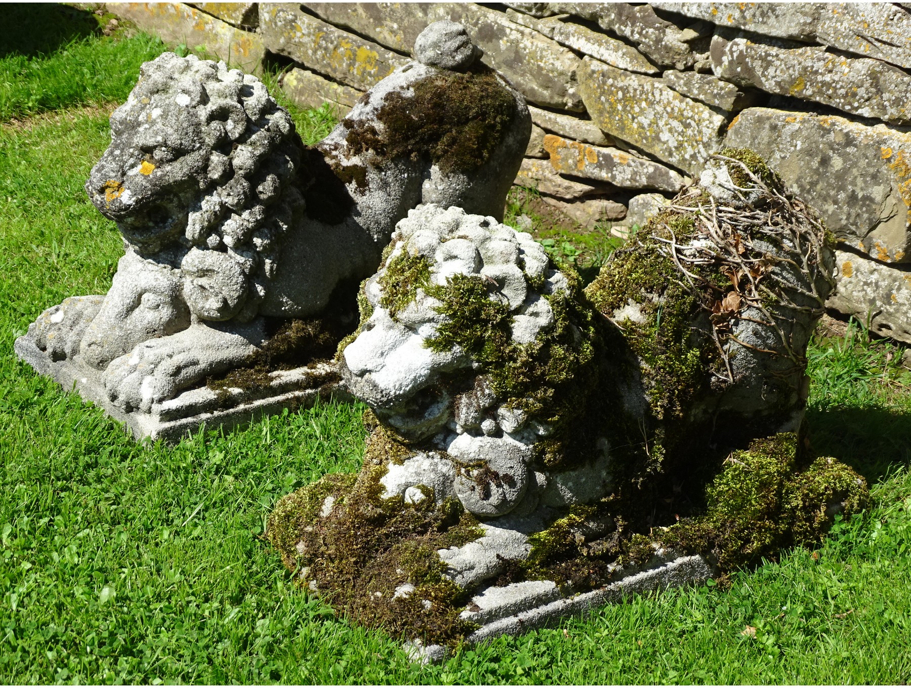 Weathered Crouching Lions (Pair) | Holloways Garden Antiques