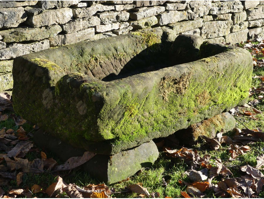 Sandstone Trough on Blocks