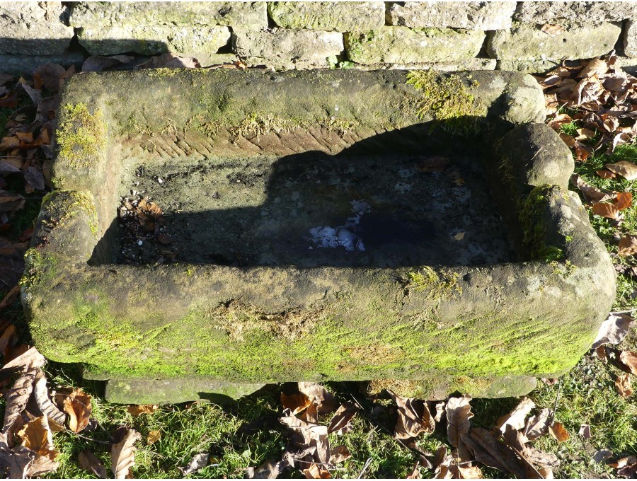 Sandstone Trough on Blocks