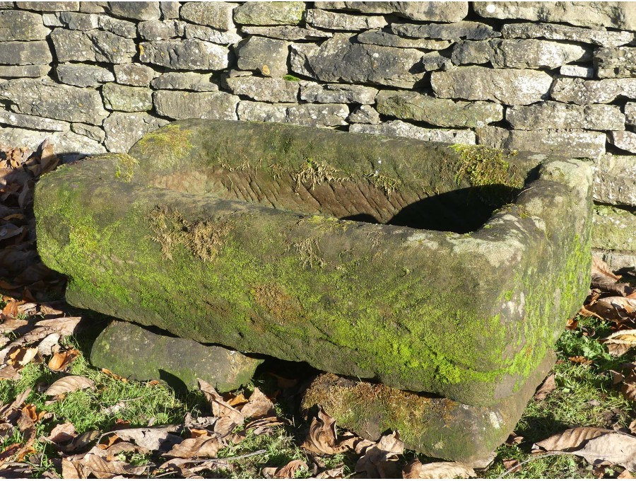 Sandstone Trough on Blocks