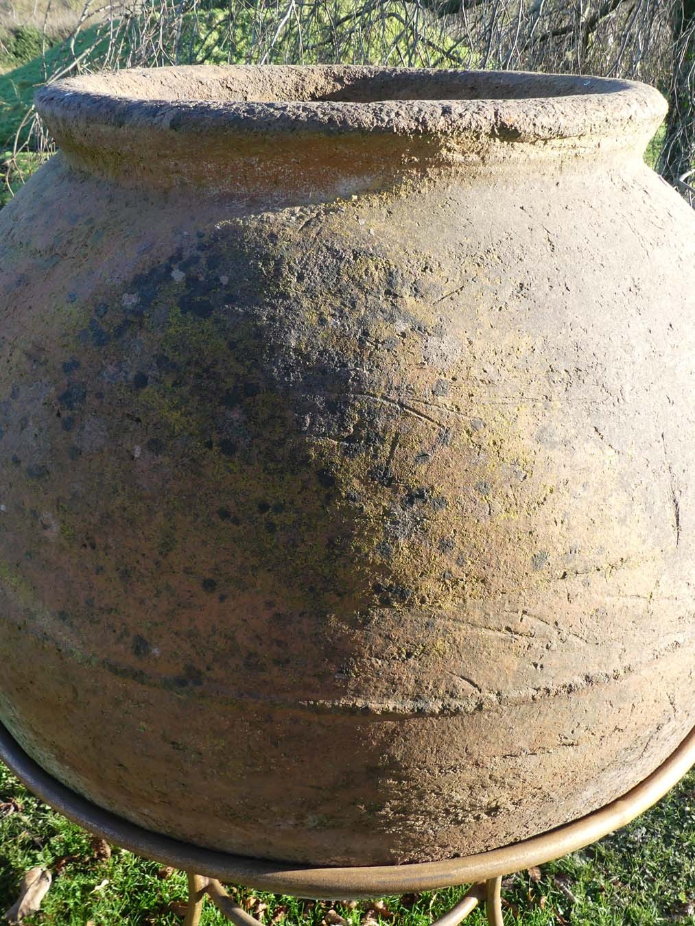 Antique Terracotta Oil Jar | Holloways Garden Antiques