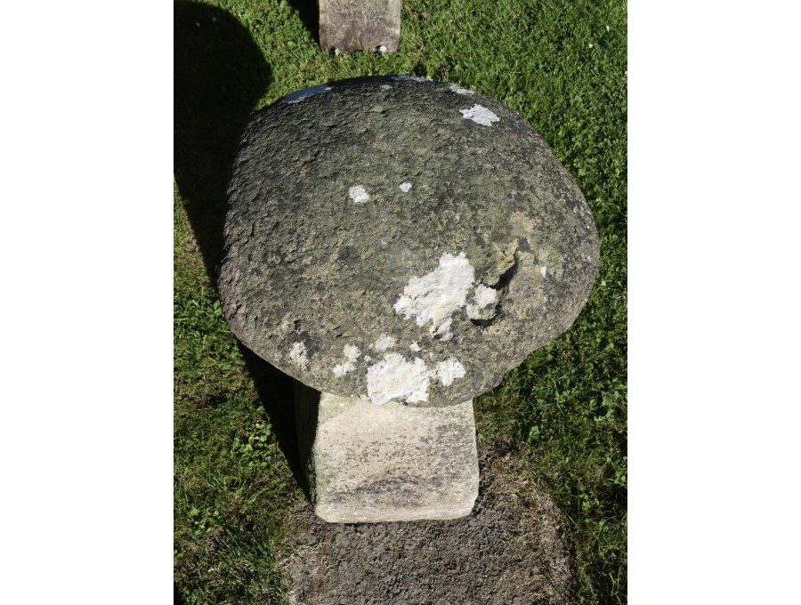 Antique Limestone Staddlestone | Holloways Garden Antiques