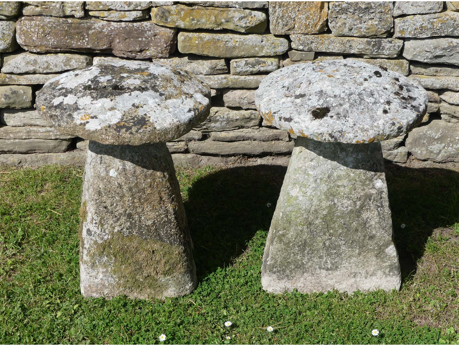 Antique Limestone Staddlestones (Pair) | Holloways Garden Antiques